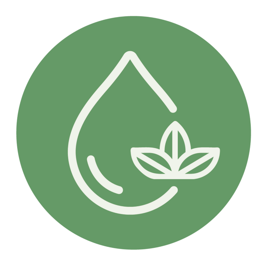 Natural Fissure Relief Oil – Forces of Nature Medicine