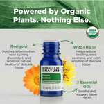 Natural Fissure Relief | Plant-Based Topical with Essential Oils ...